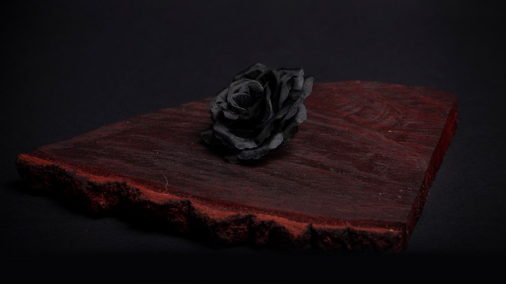 Become a Vampire Kit - Deathless Legacy feat. Steve Sylvester ...